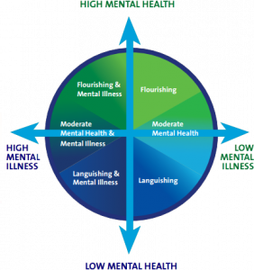 Mental Health Continuum – Springmount Services Pty Ltd