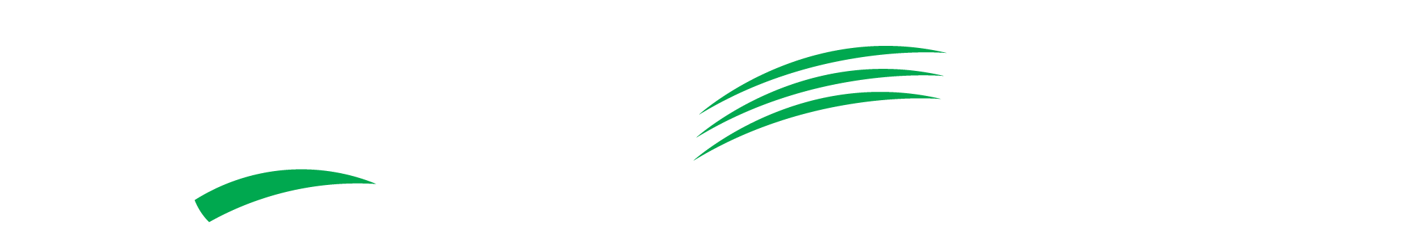 Springmount Services Foundation Day 2022 – Springmount Services Pty Ltd